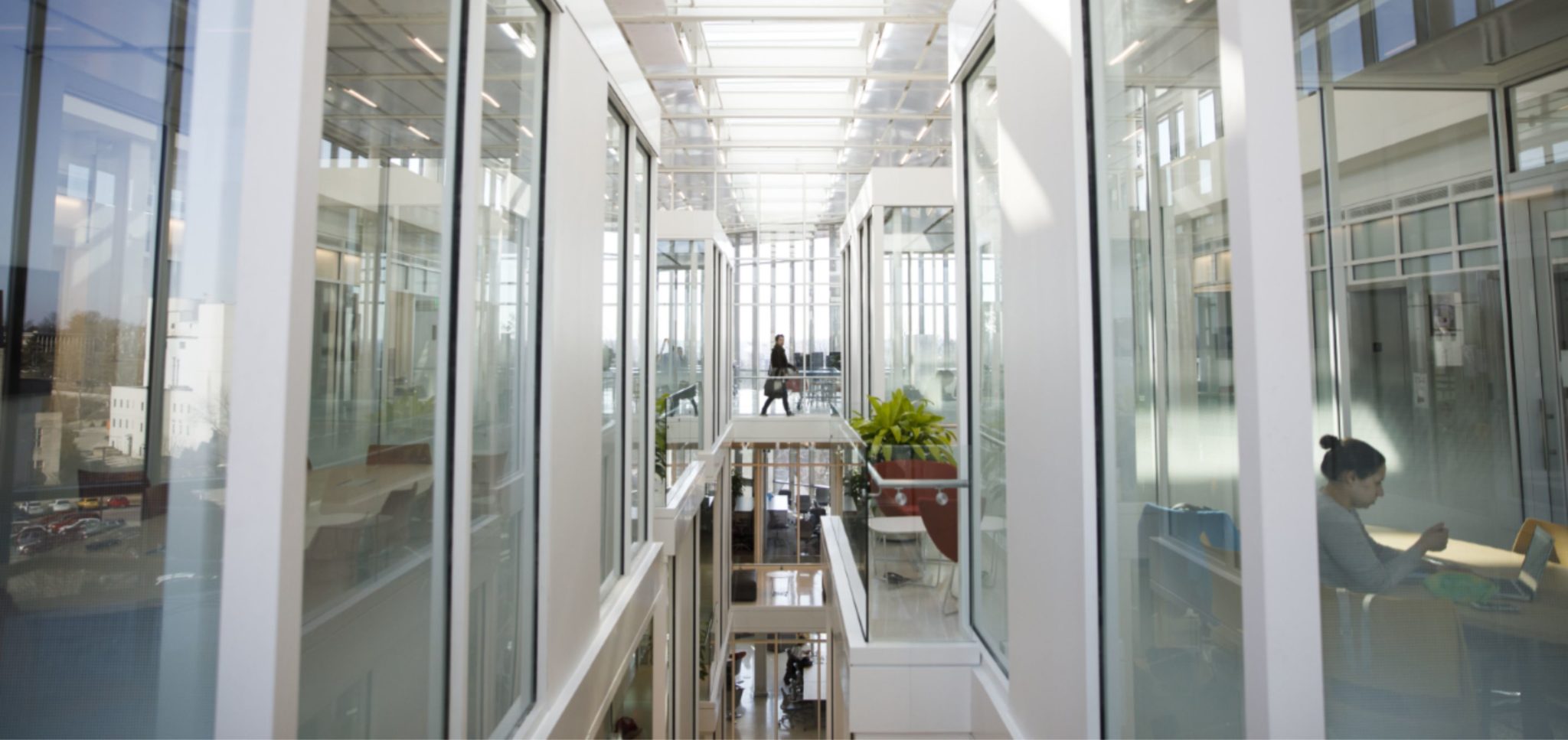 Beyond the obvious – Luddy School pushes innovation and opportunity ...